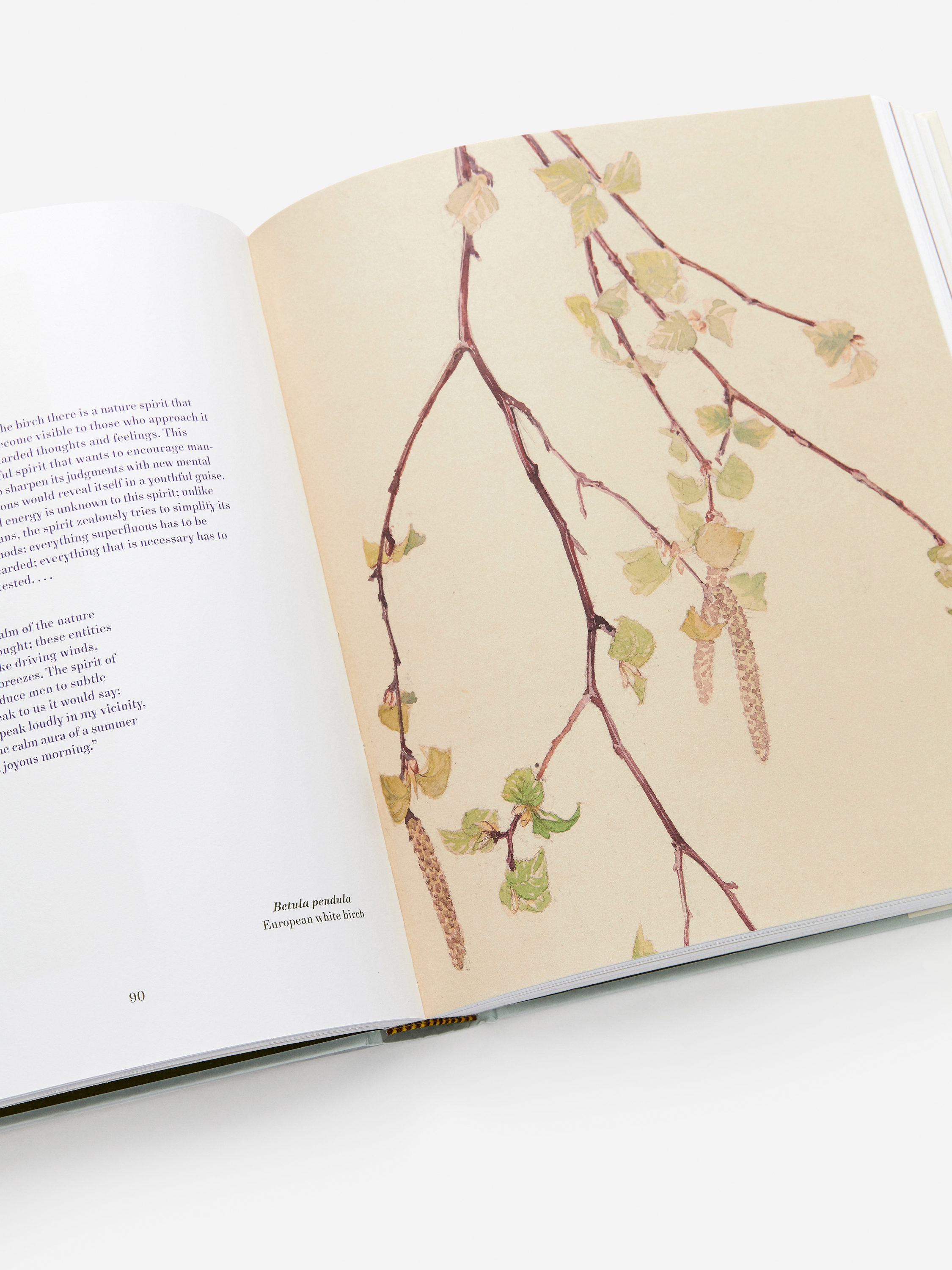 Hilma af Klint What Stands Behind the Flowers – ARKET CH